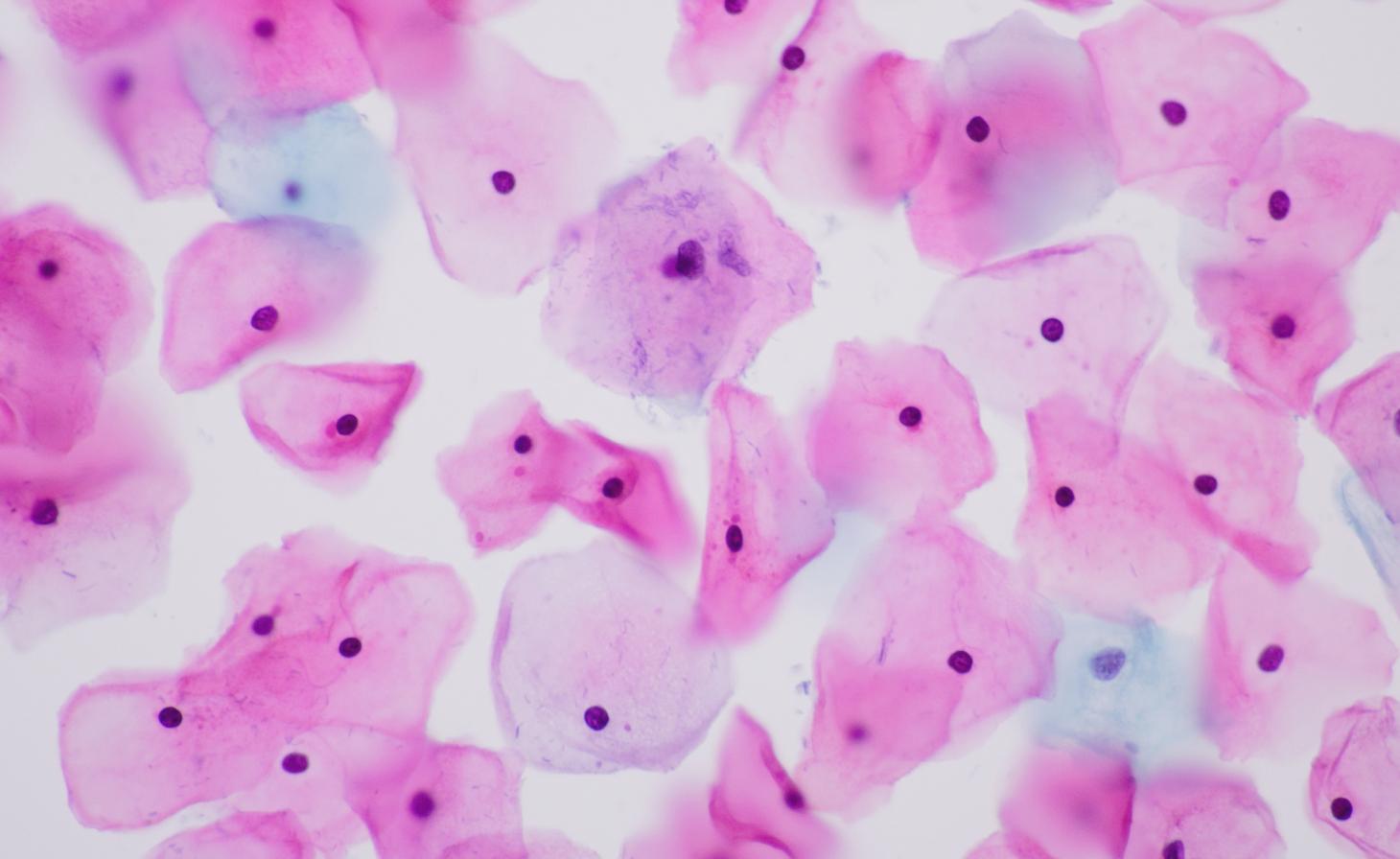 Biology Major | College of Science | Oregon State University