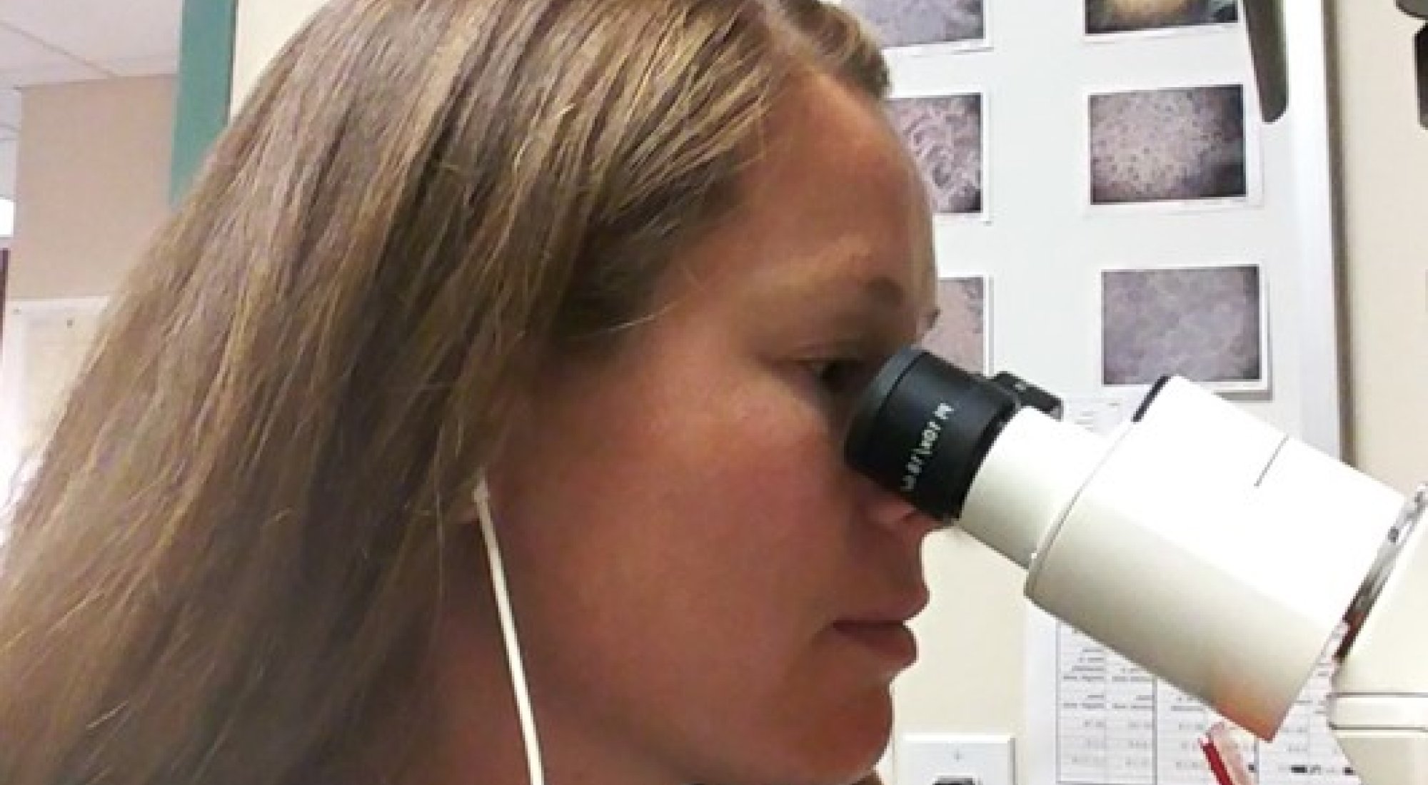 Meet the marine biology alumna that specializes in shellfish poisoning ...